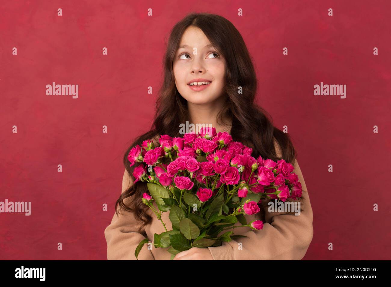 A teenage girl with a bouquet of beautiful pink roses on a pink ...
