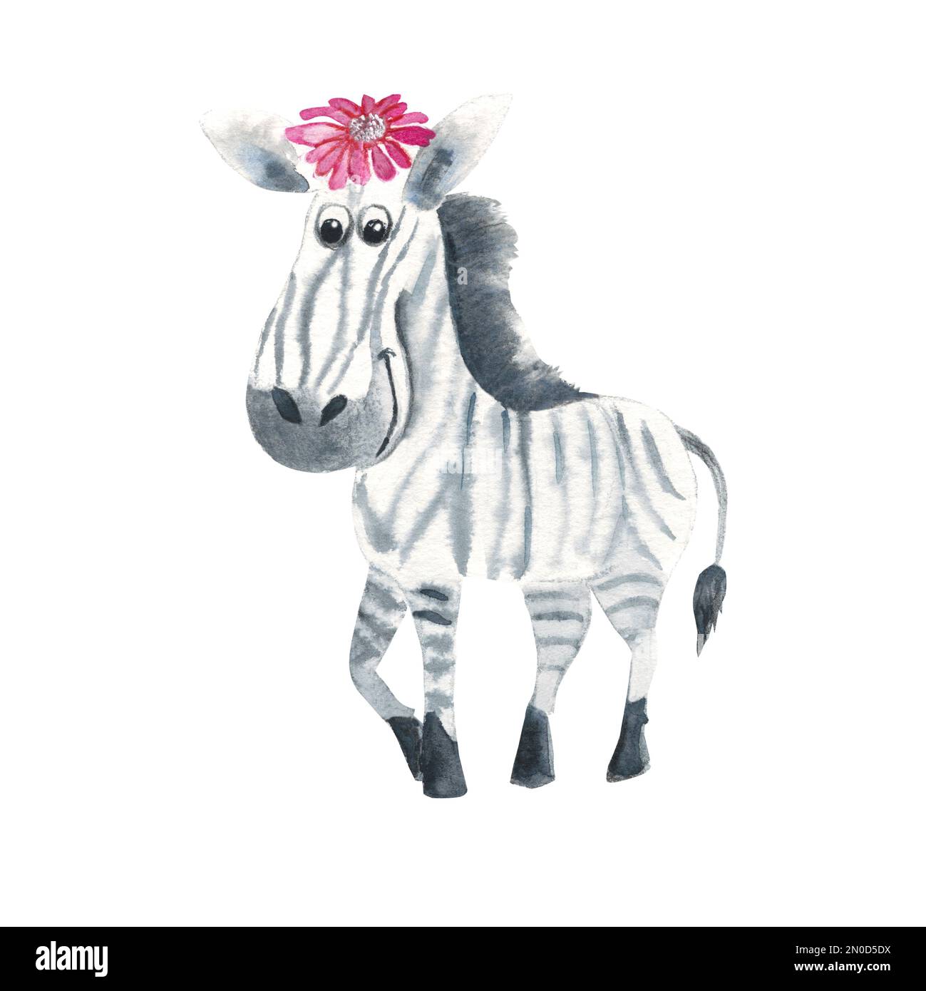 Cute zebra with pink flower isolated on white background. Watercolor ...