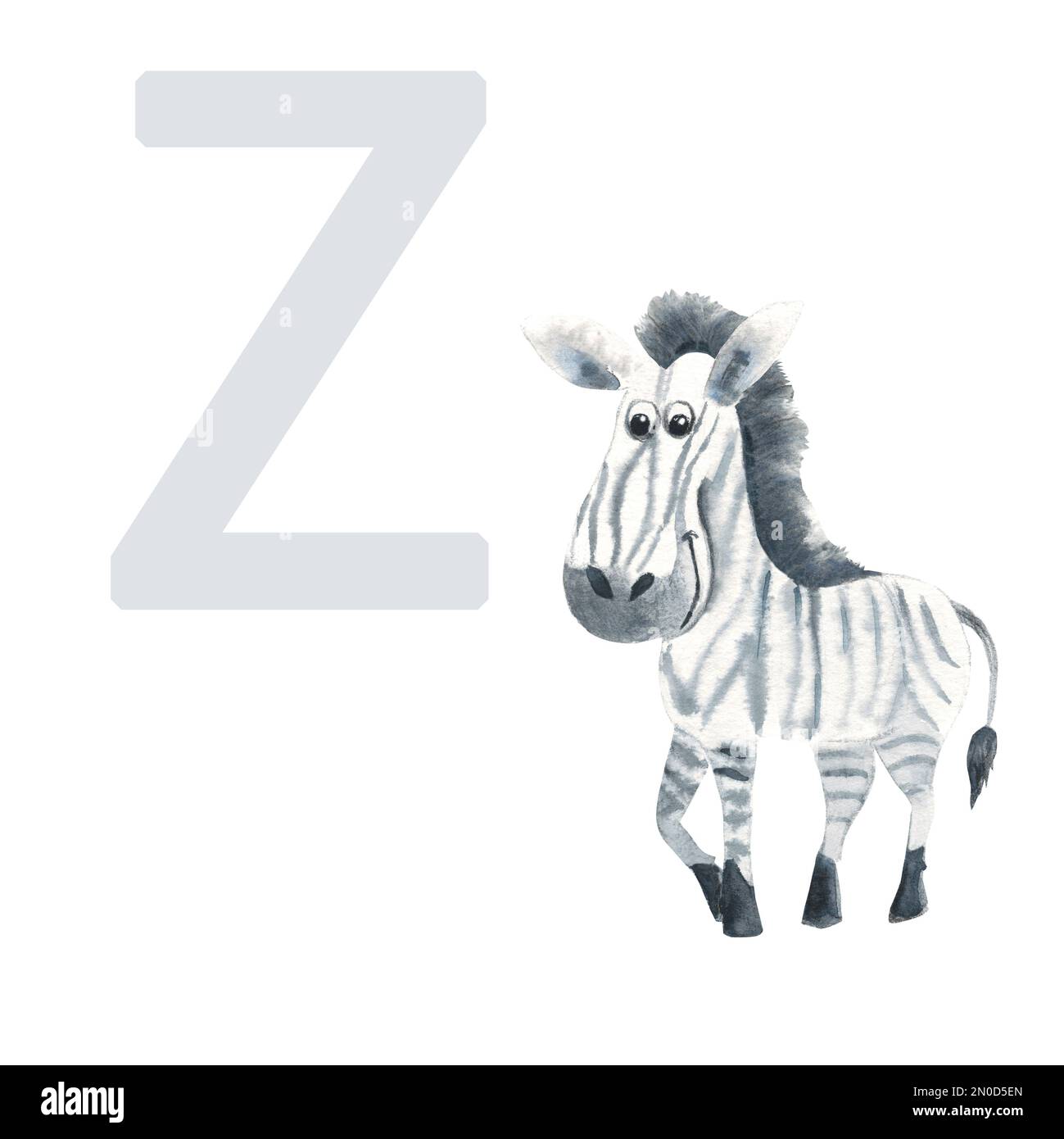 Letter Z, zebra, cute kids animal ABC alphabet. Watercolor illustration ...