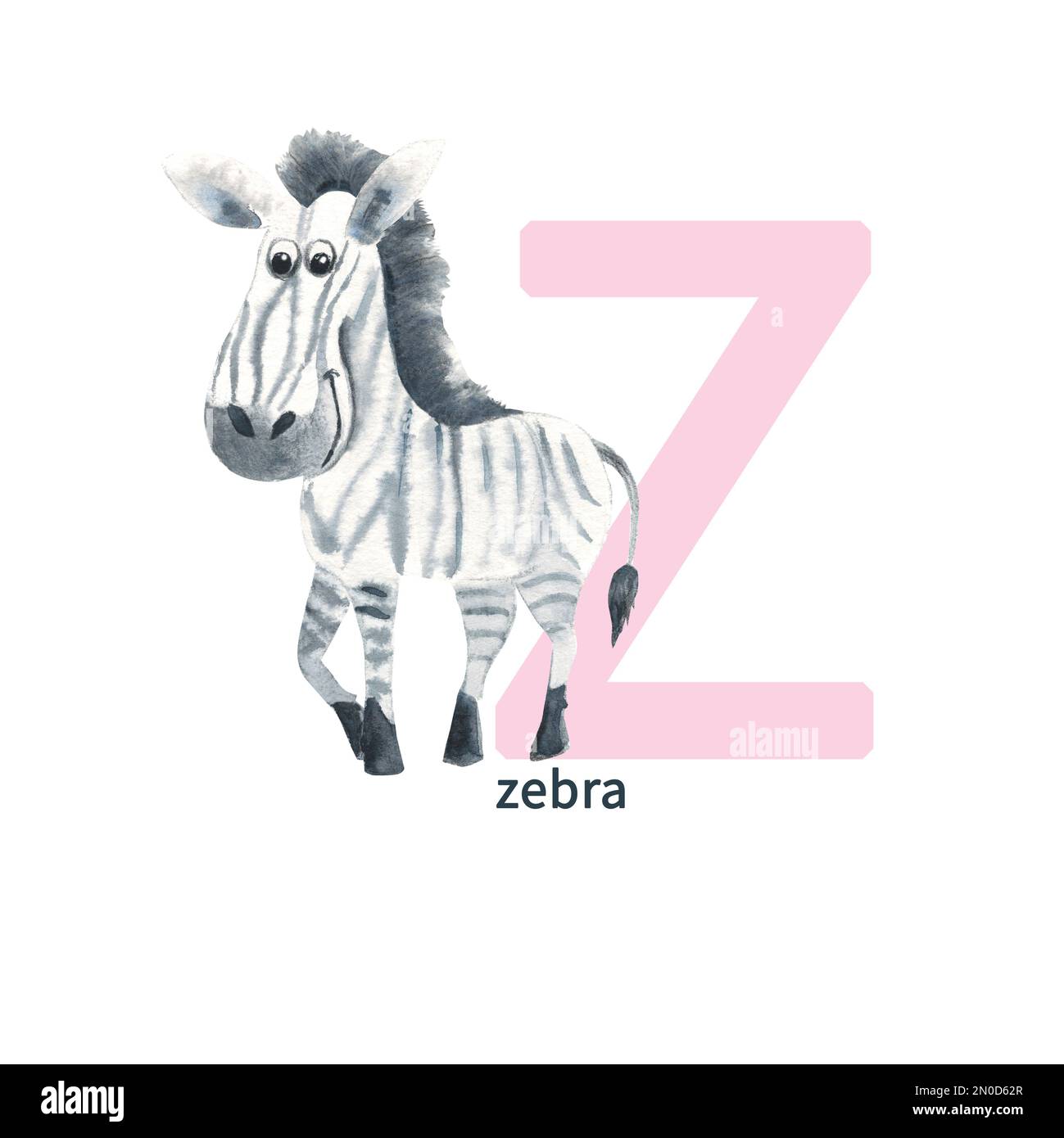 Letter Z, zebra, cute kids animal ABC alphabet. Watercolor illustration ...