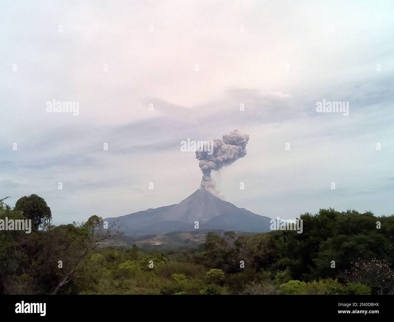A large plume of ash rises from the crater of the Colima volcano, also ...