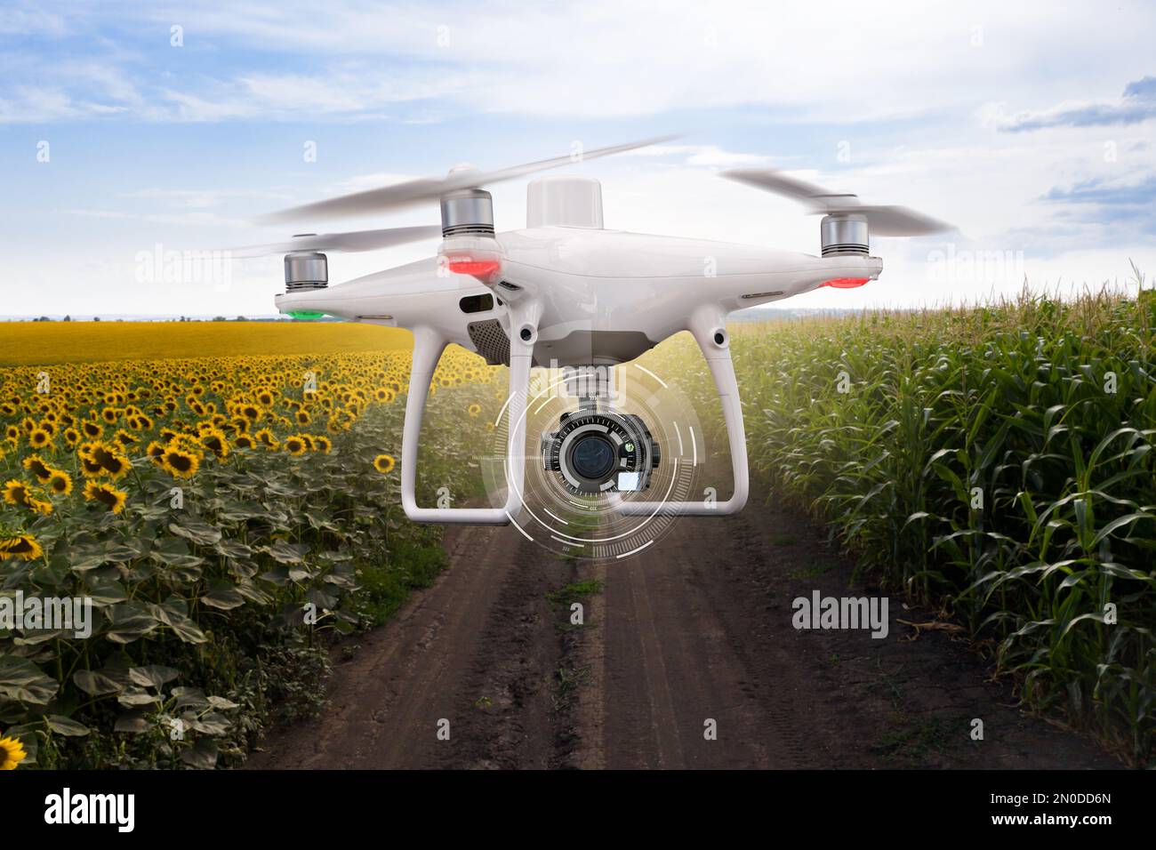 Flies over road corn hi-res stock photography and images - Alamy