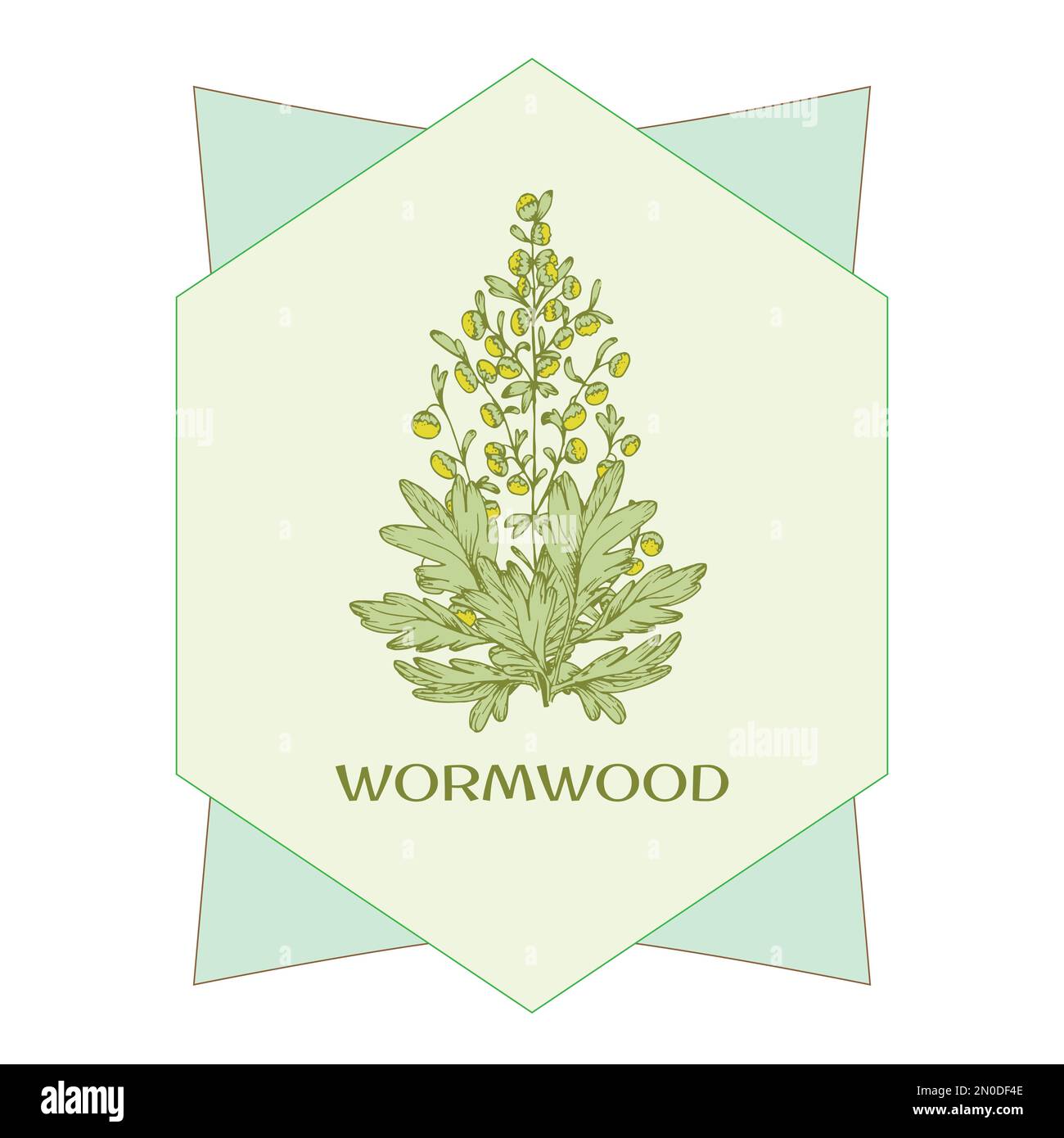 wormwood branch, wormwood flowers and leaves . Cosmetics and medical ...