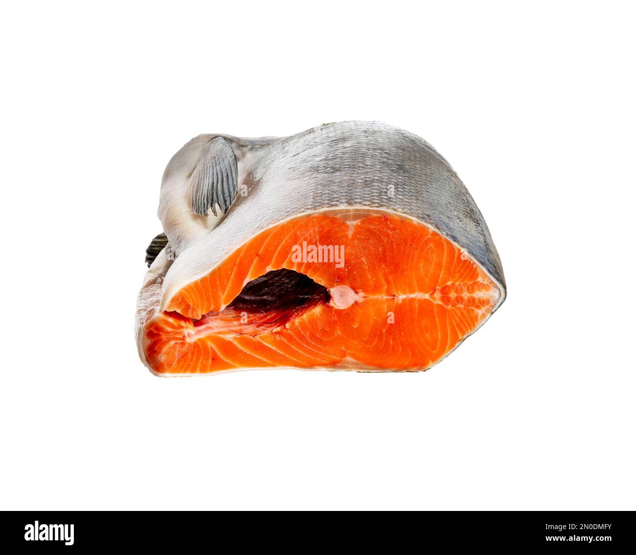 White Salmon Coho Salmon