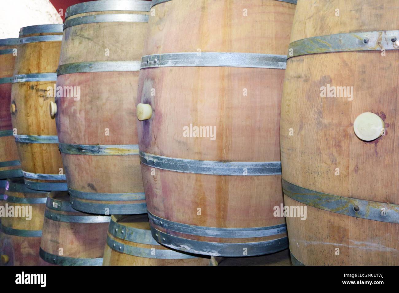 Wine barrels in the basement of Latrun Trappist Monastery also known as ...