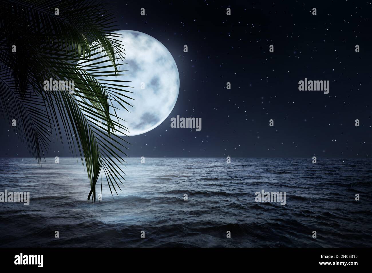 Fantasy night. Palm leaves and full moon in starry sky over sea Stock ...