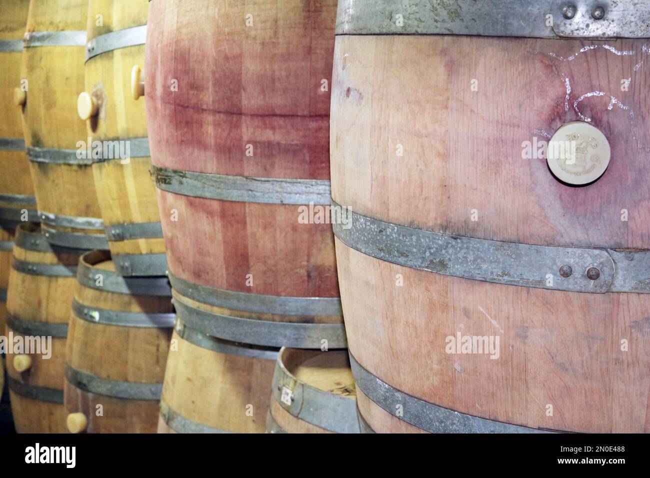 Wine barrels in the basement of Latrun Trappist Monastery also known as ...