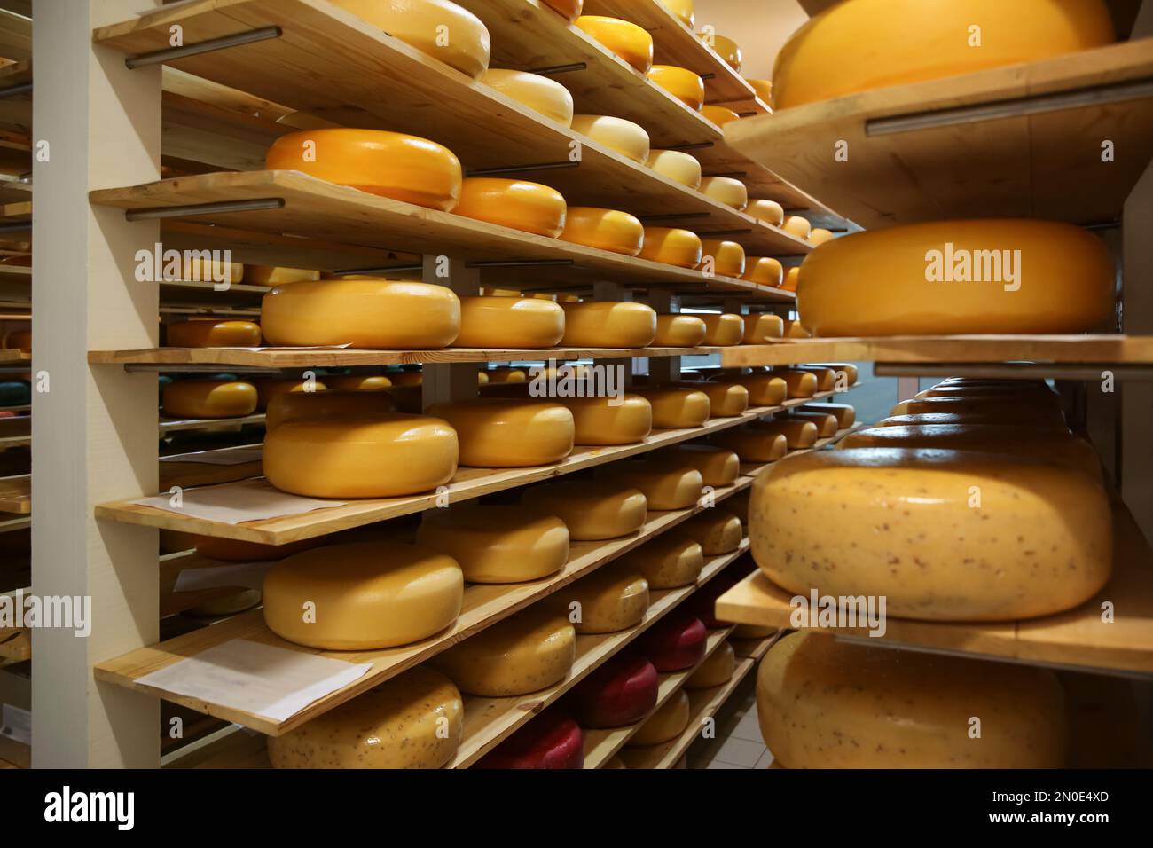 Fresh cheese heads on racks in factory warehouse Stock Photo - Alamy