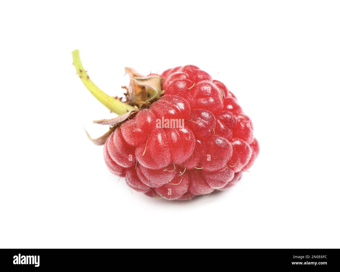 Delicious fresh ripe raspberry isolated on white Stock Photo - Alamy