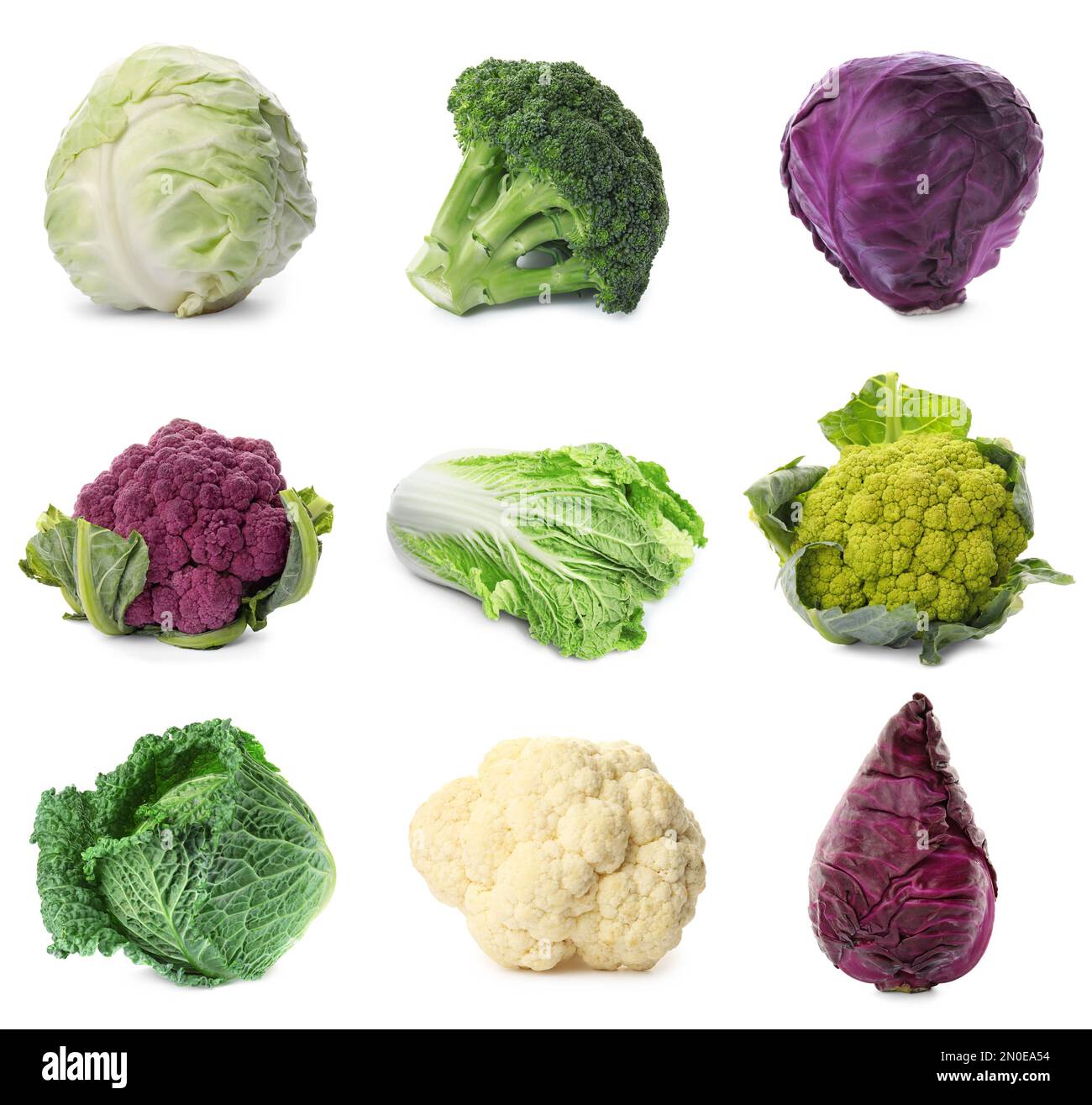 Set with assortment of cabbages on white background Stock Photo - Alamy