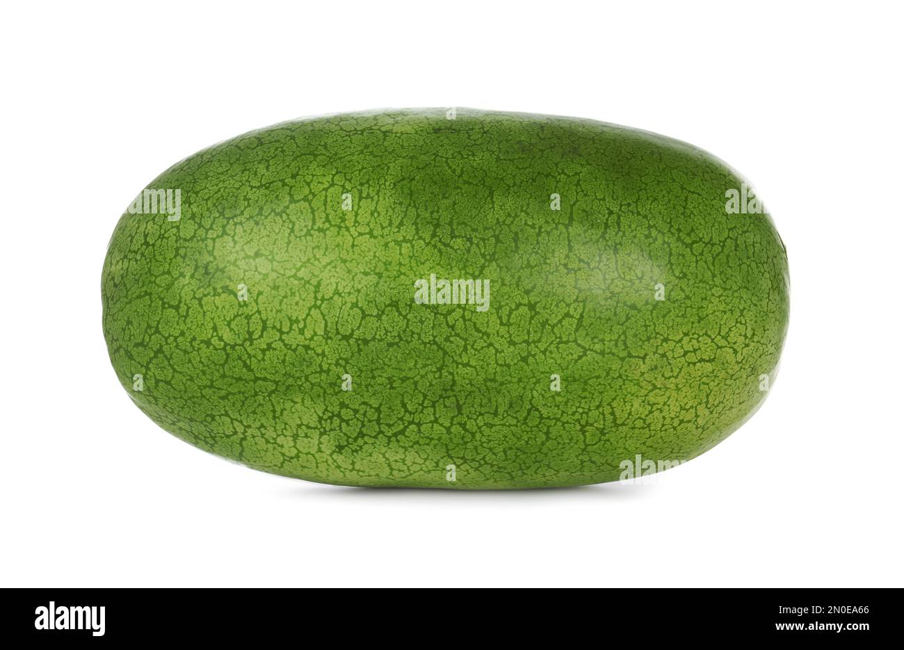 Delicious ripe Charleston grey watermelon isolated on white Stock Photo ...