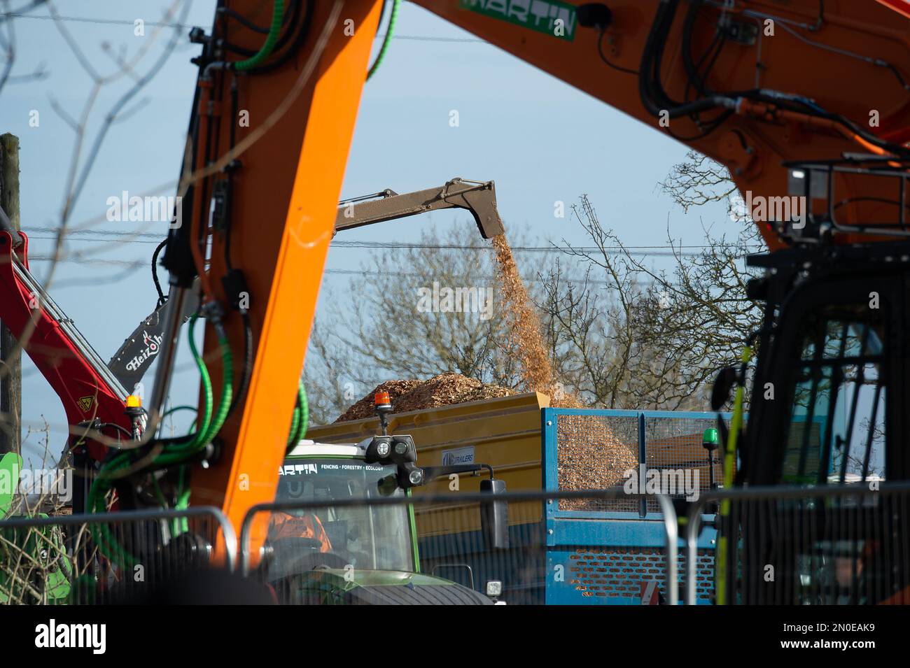 Hartwell, Aylesbury, UK. 5th February, 2023. Tree limbs going through ...