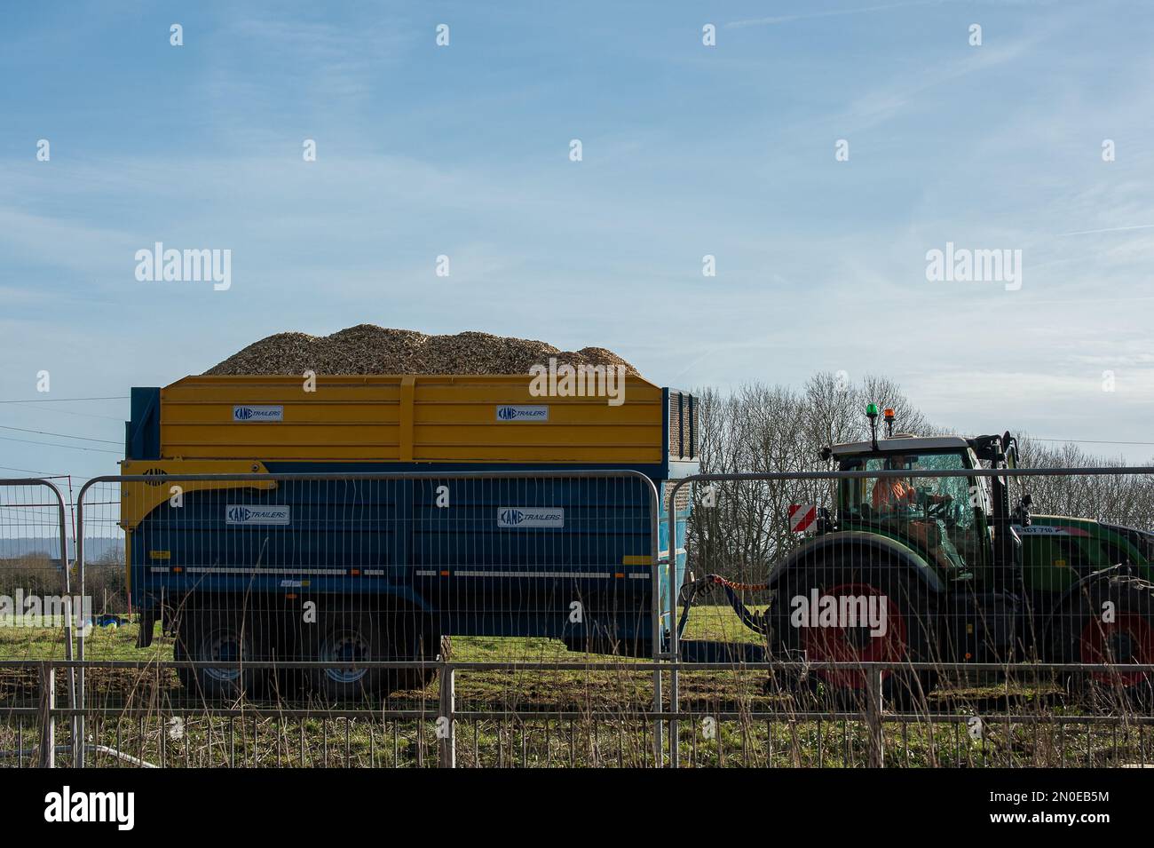 Hartwell, Aylesbury, UK. 5th February, 2023. Shredded tree limbs taken ...