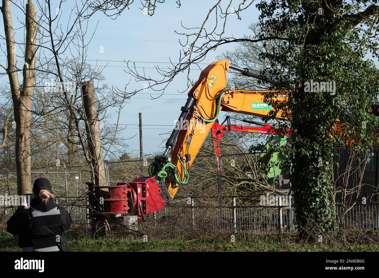 Hartwell, Aylesbury, UK. 5th February, 2023. A tree grabber rips off ...