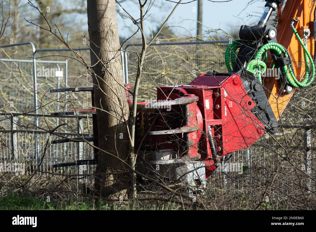 Hartwell, Aylesbury, UK. 5th February, 2023. A tree grabber rips off ...