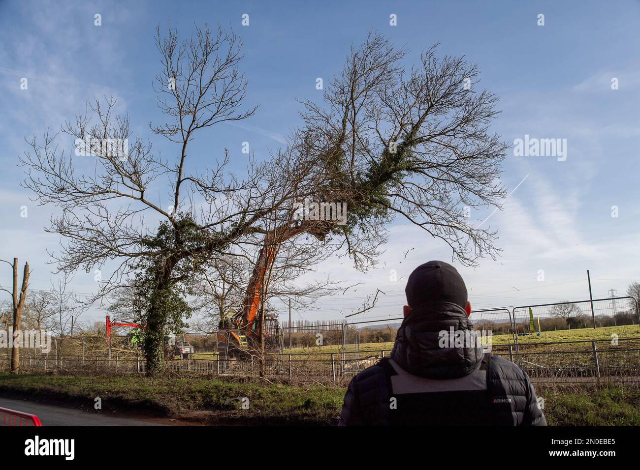 Hartwell, Aylesbury, UK. 5th February, 2023. A tree breathes its last ...