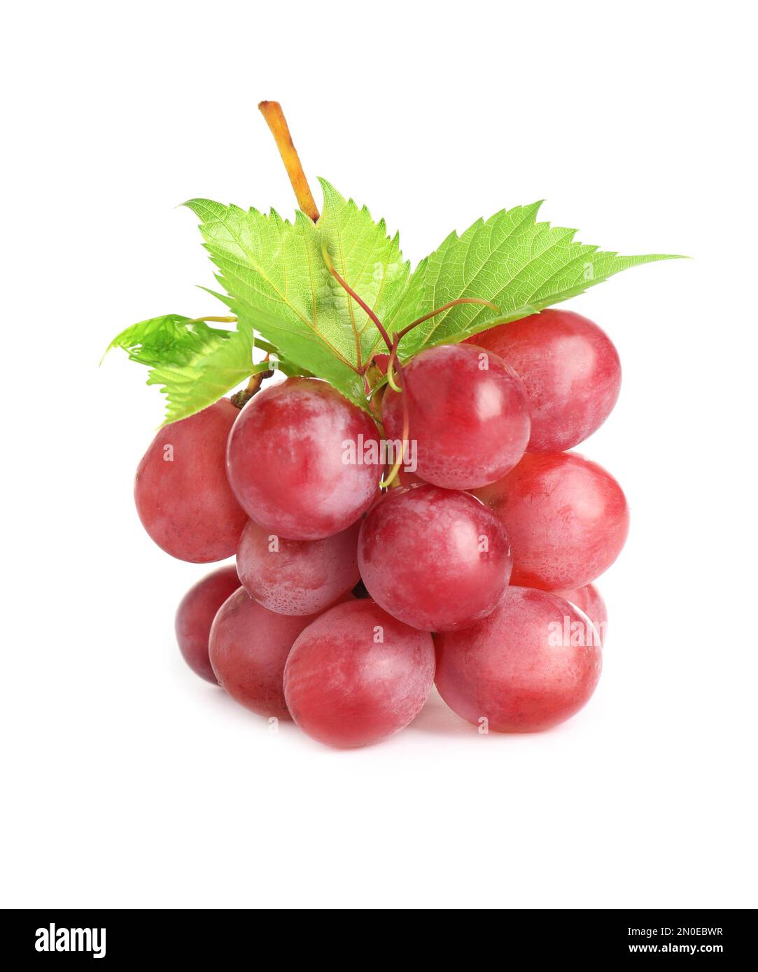 Lush grapes Cut Out Stock Images & Pictures - Alamy