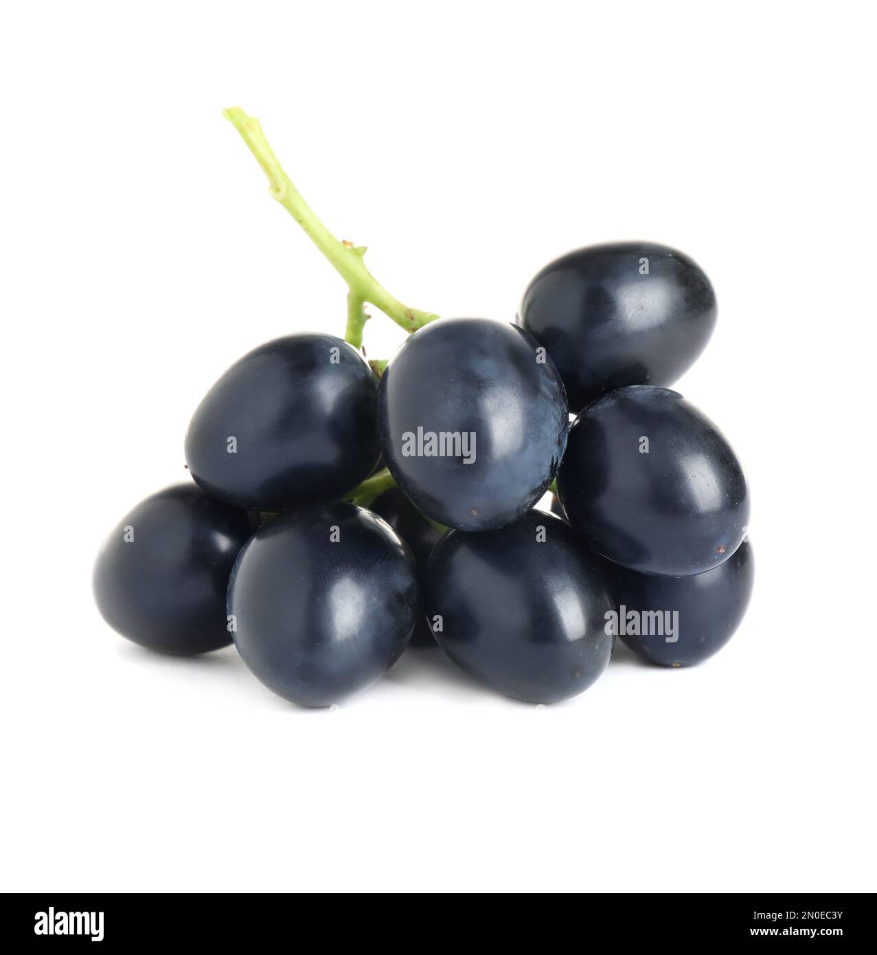Bunch of dark blue grapes isolated on white Stock Photo - Alamy