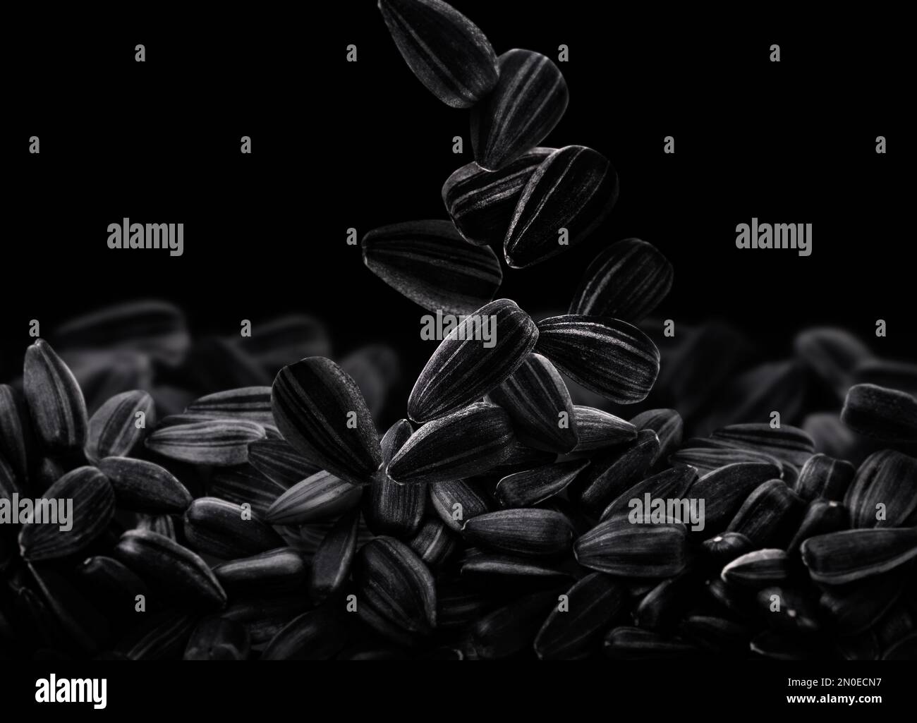 Sunflower seeds falling onto heap on black background Stock Photo - Alamy