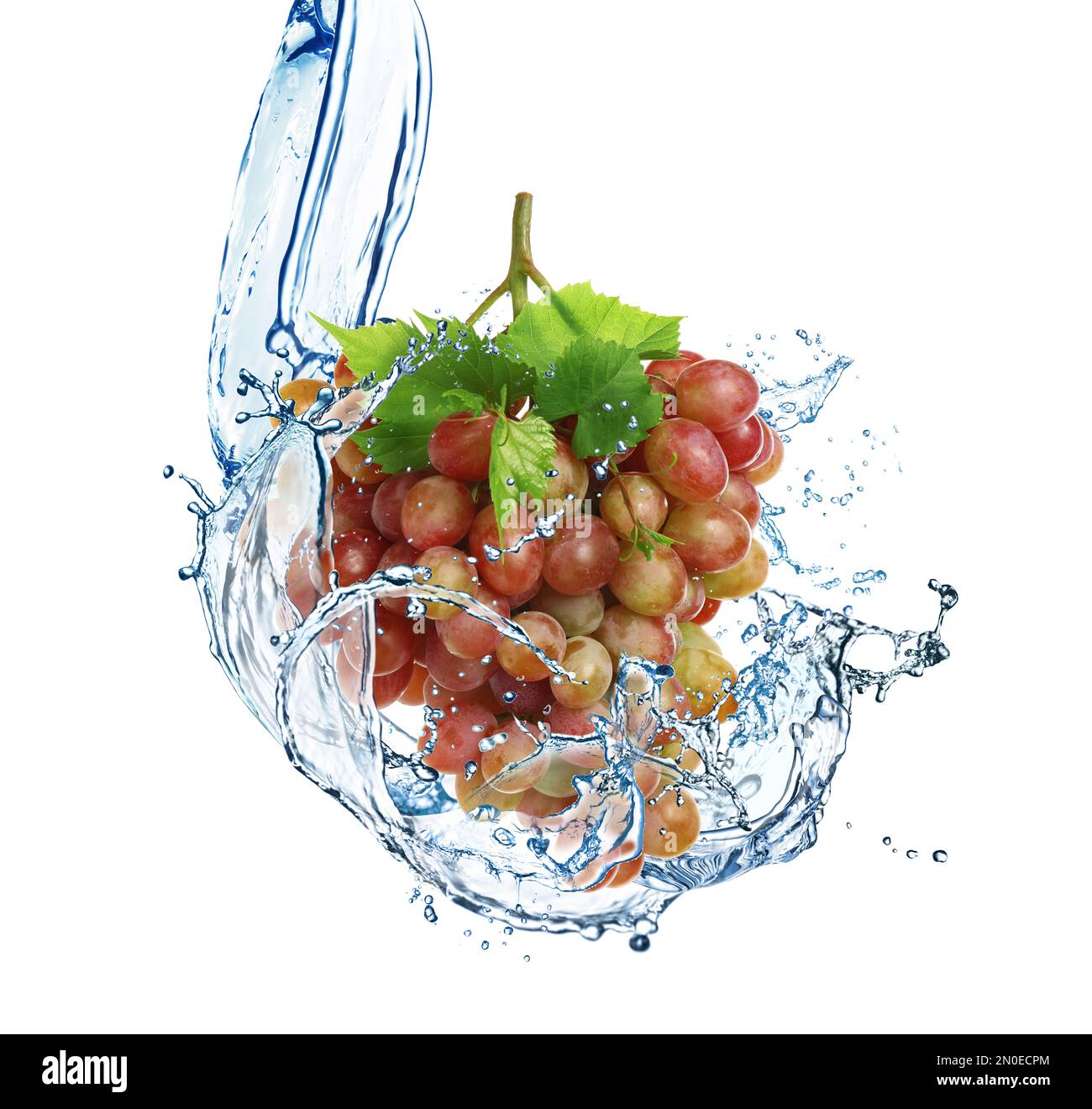 Grape cluster with water splash on white background Stock Photo - Alamy