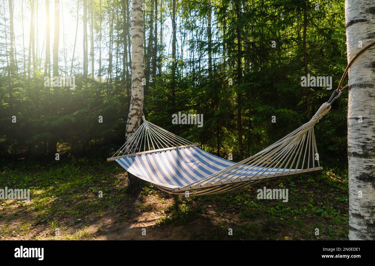 Hammock in the summer forest Stock Photo - Alamy