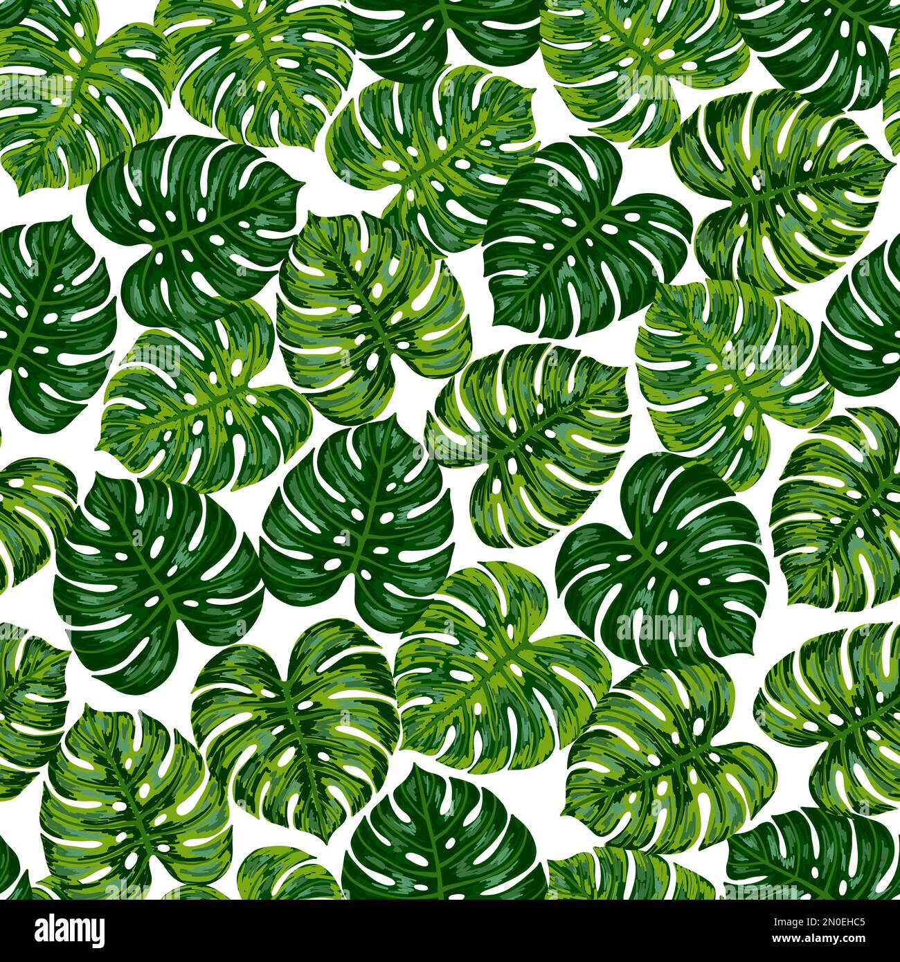 Monstera Leaf Pattern