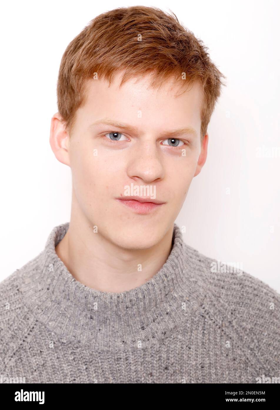 Actor Lucas Hedges poses for a portrait to promote the film ...