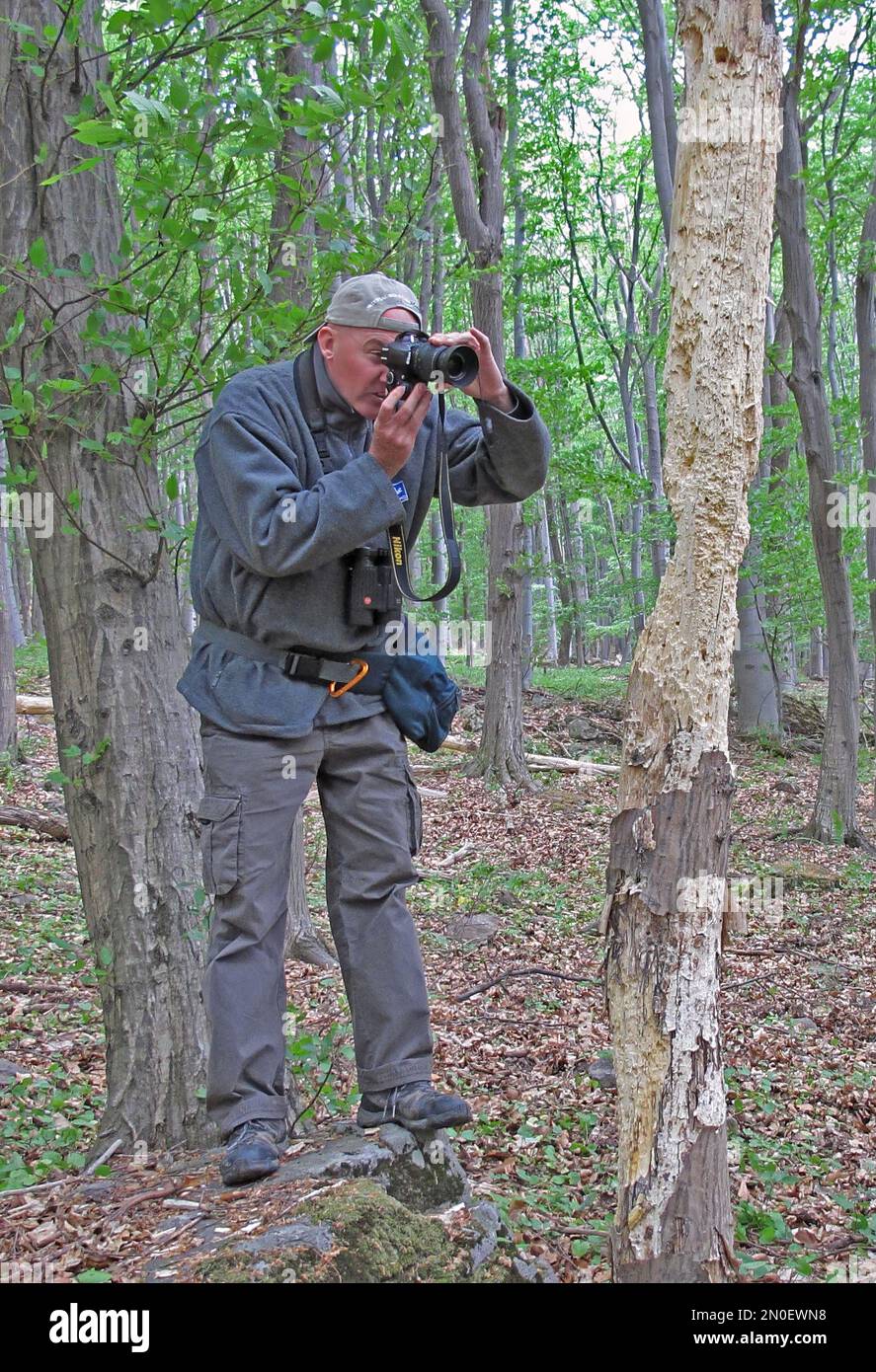 Gerard gorman hi-res stock photography and images - Alamy