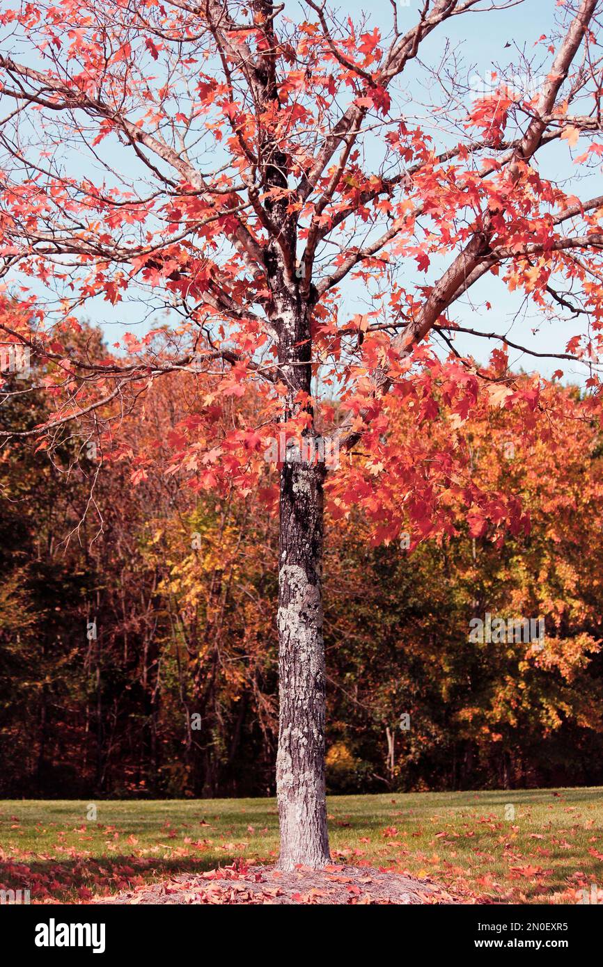 Paisajes de africa hi-res stock photography and images - Alamy