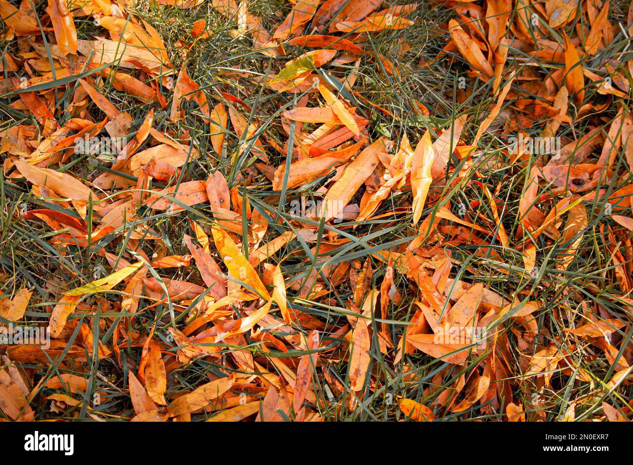 Paisajes de colombia hi-res stock photography and images - Alamy