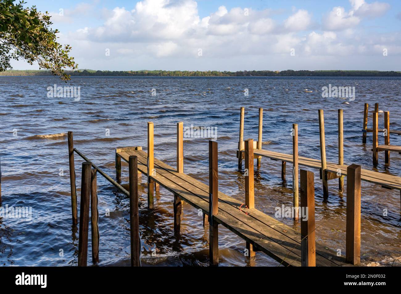 The lake Lac de Léon in the Landes departement of Nouvelle-Aquitaine ...