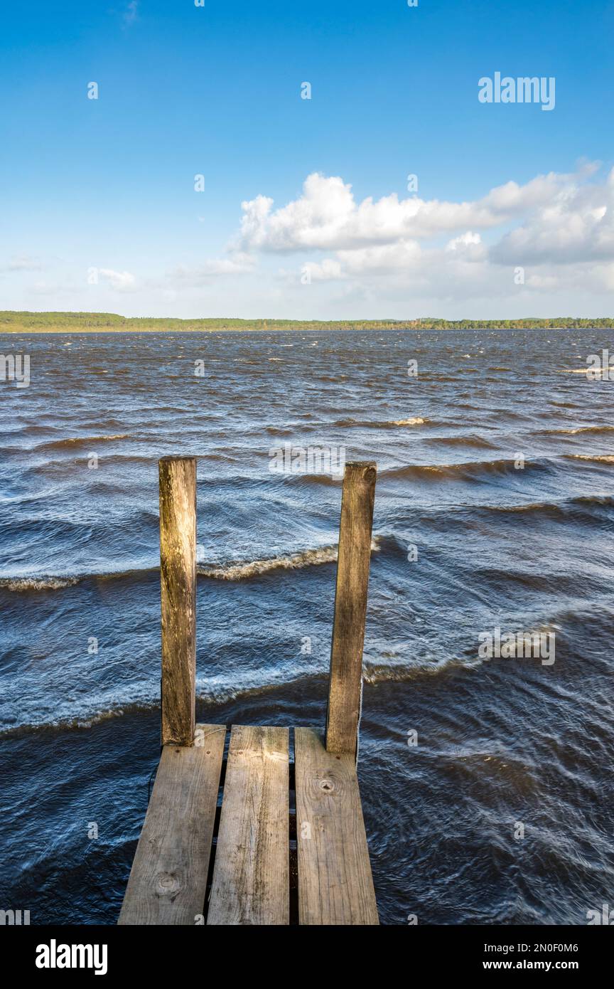 The lake Lac de Léon in the Landes departement of Nouvelle-Aquitaine ...