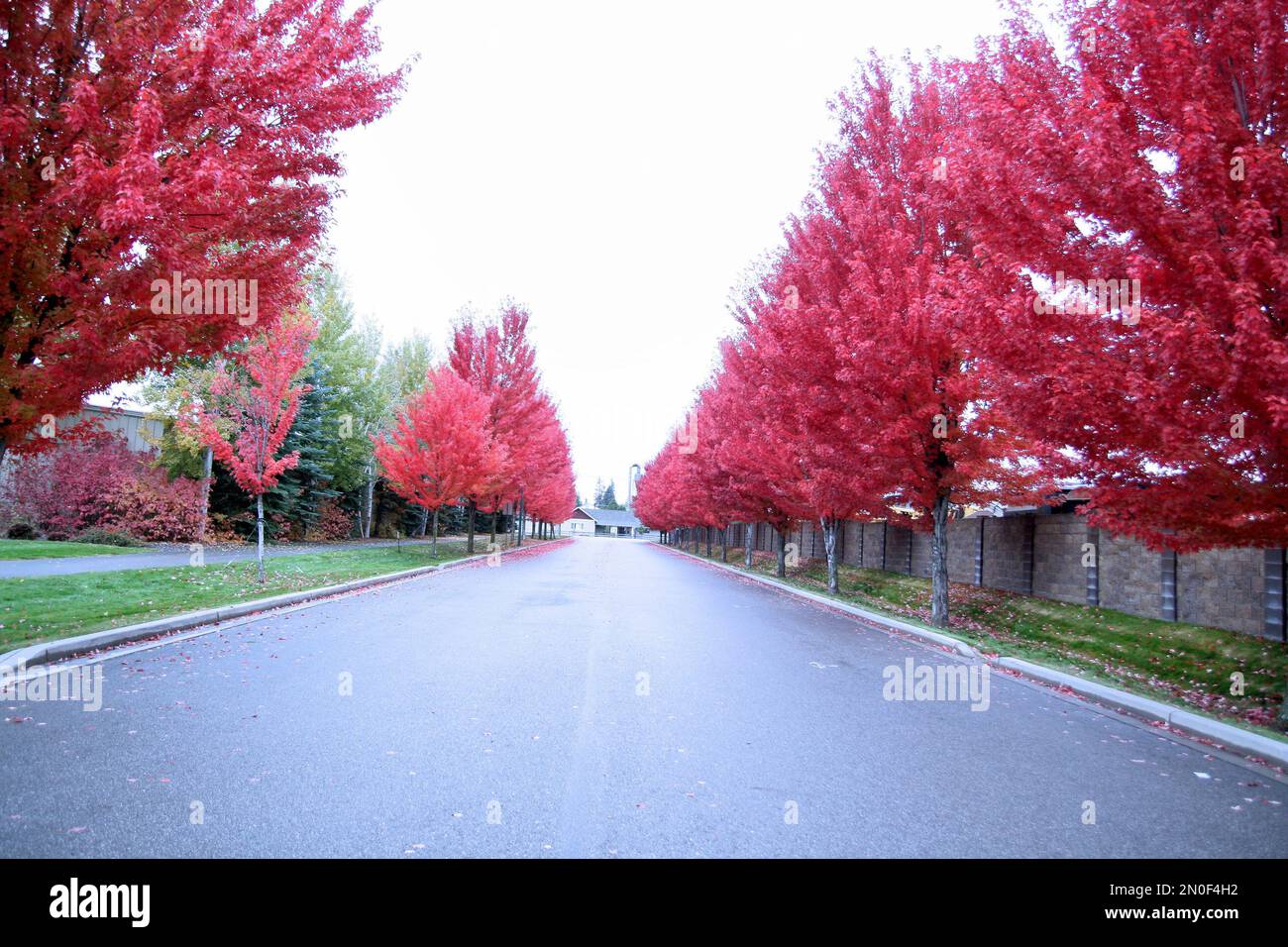 Side colors hi-res stock photography and images - Alamy