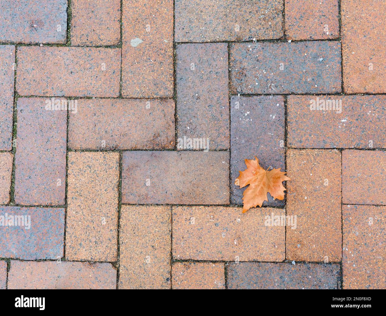 Random bricks hi-res stock photography and images - Alamy