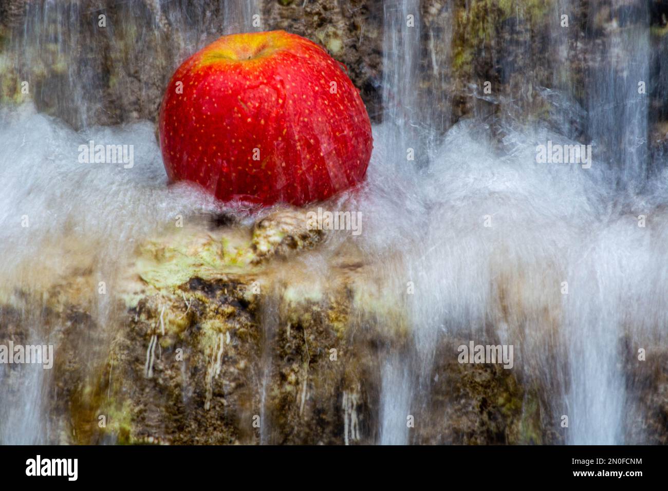red apple in the water Stock Photo - Alamy