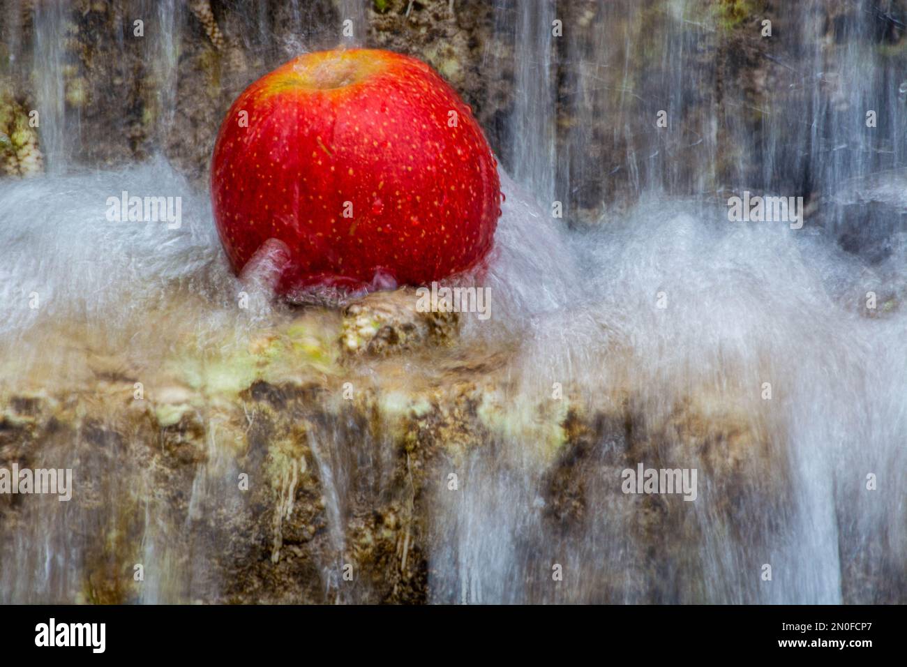 Red apple water drops hi-res stock photography and images - Alamy