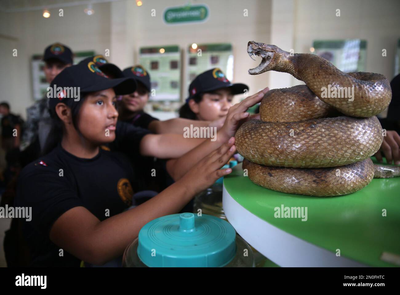 kids touch a replica of a big snake during their visit to a museum of ...