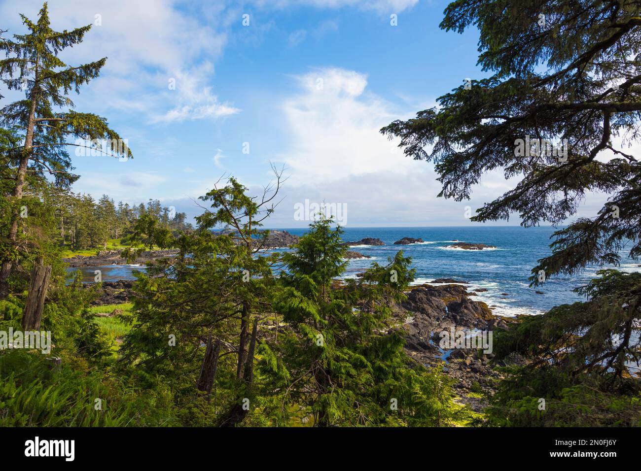 Rugged Pacific Coast, Vancouver Island, Canada Stock Photo - Alamy