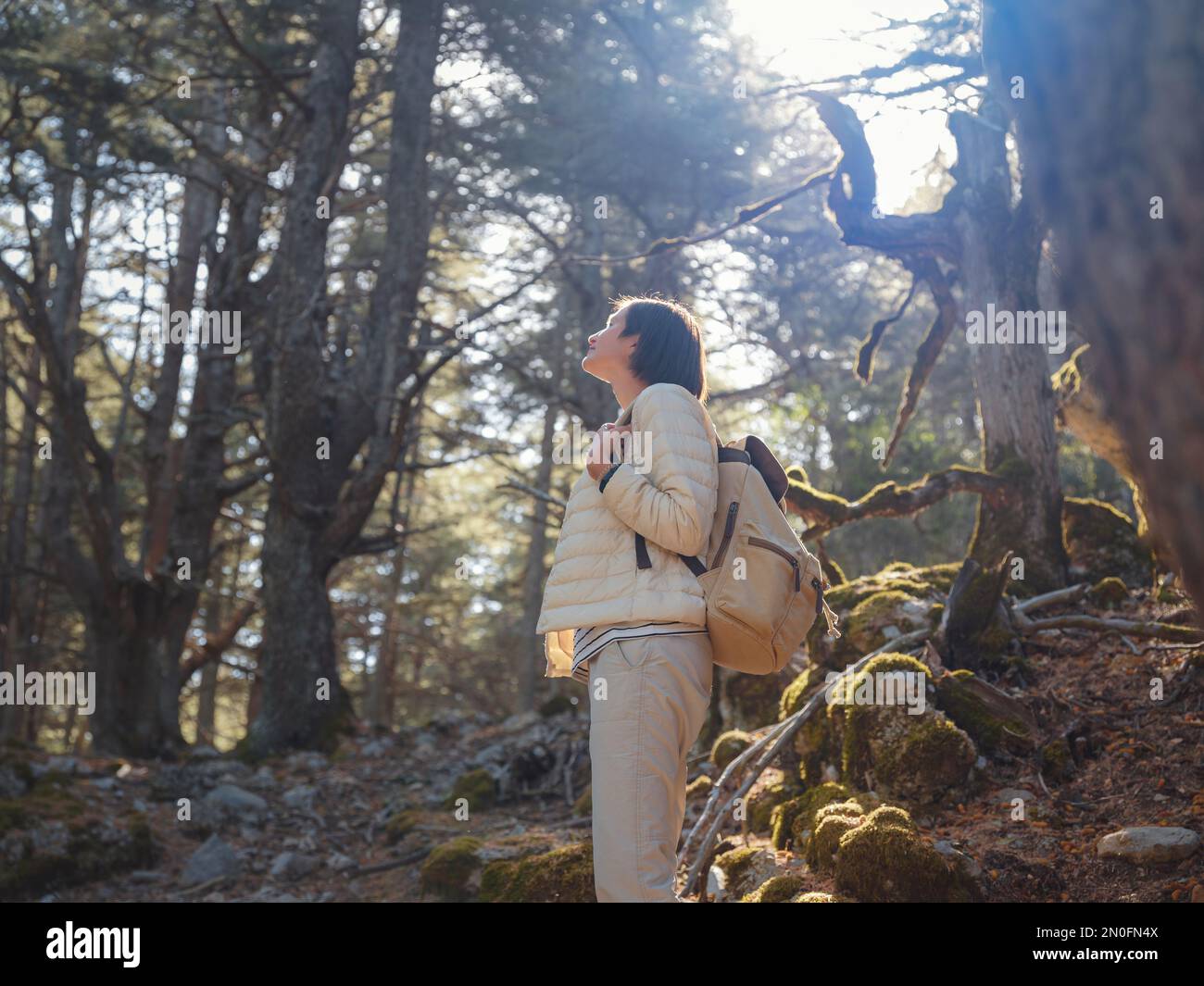 asian woman enjoys being in nature, beautiful forest in mountains ...