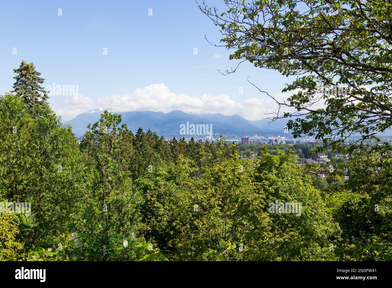 View over forest canada hi-res stock photography and images - Alamy