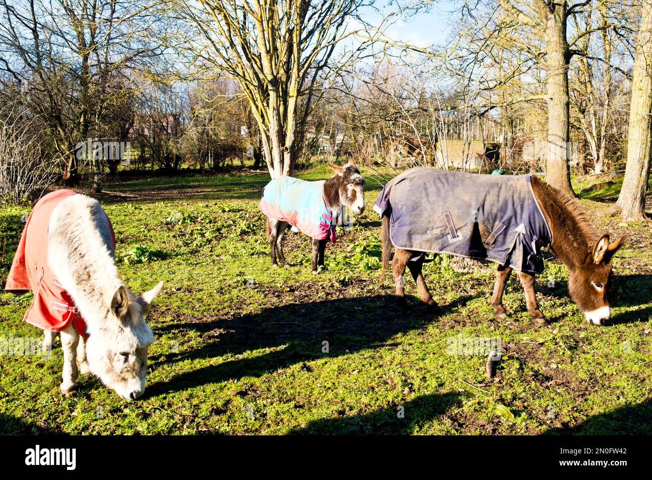 The museum of kent life hi-res stock photography and images - Alamy
