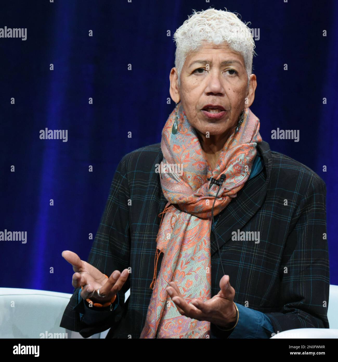 Former Black Panther member Ericka Huggins participates in "The Black ...