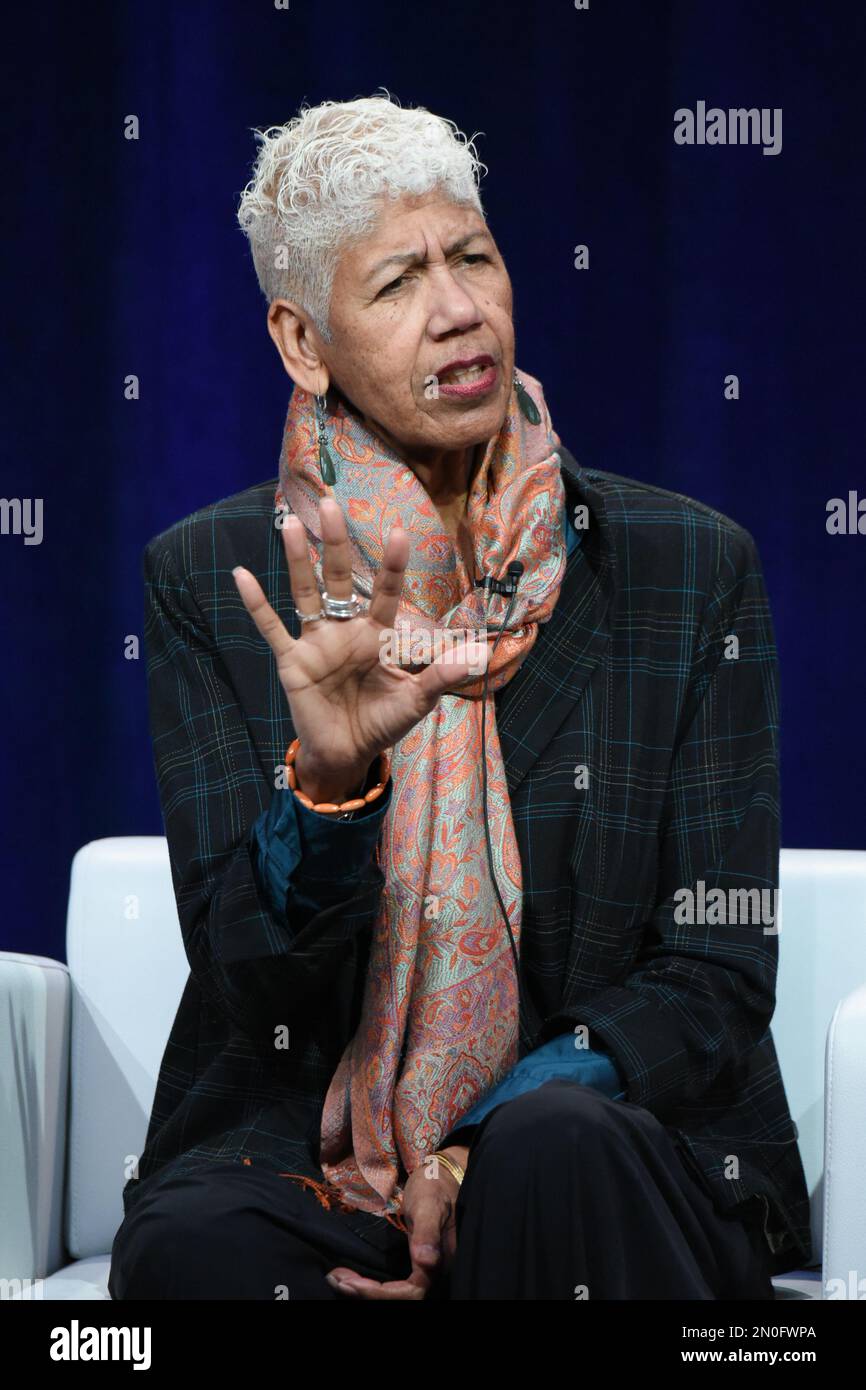 Former Black Panther member Ericka Huggins participates in "The Black ...