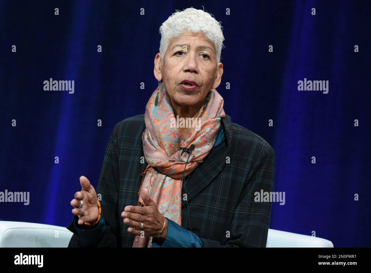 Former Black Panther member Ericka Huggins participates in "The Black ...