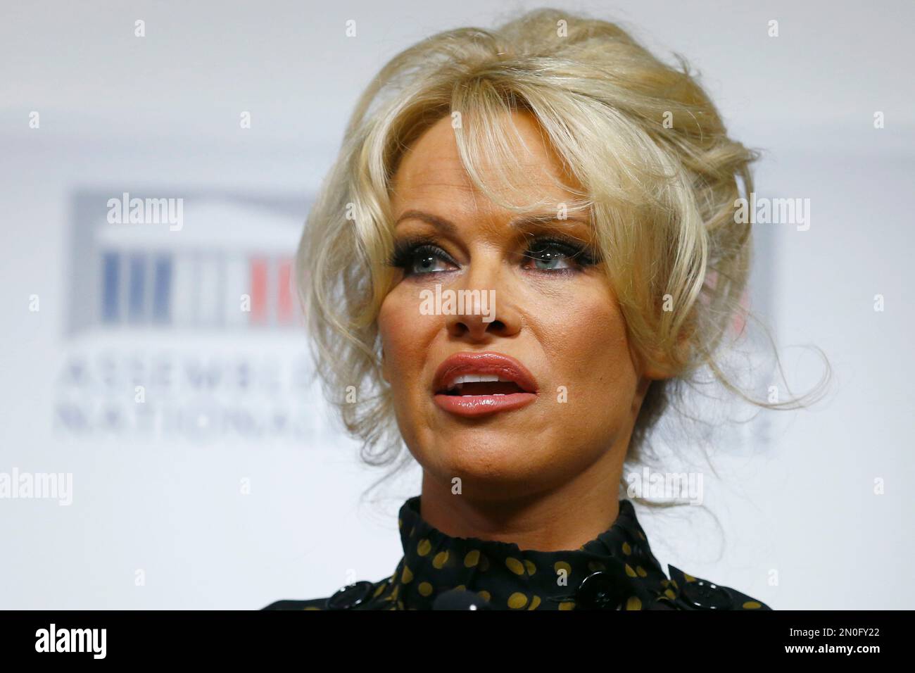 Pamela Anderson, actress and animals rights defender, delivers her ...