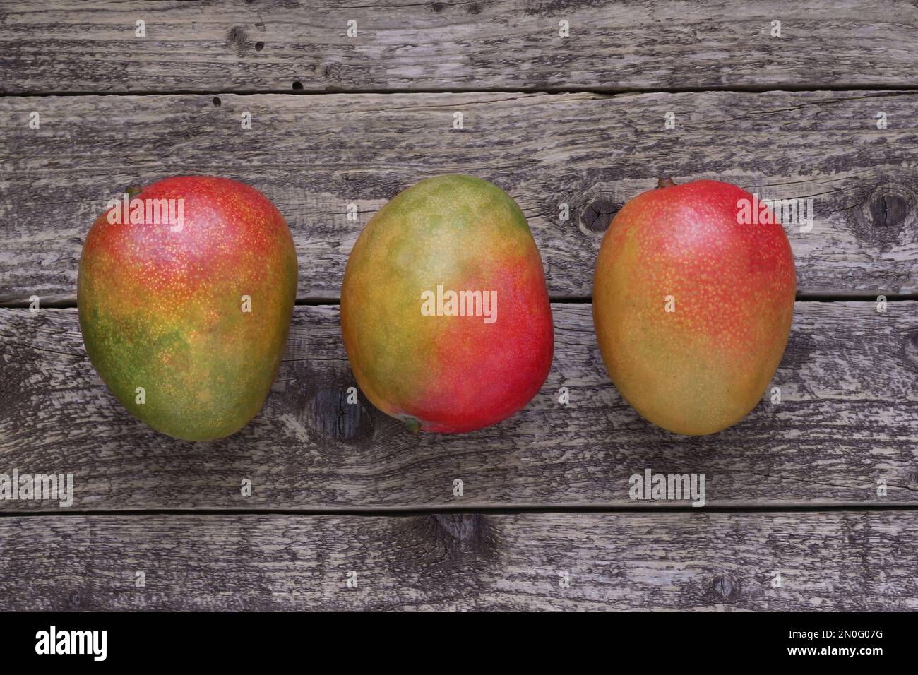 Mango fruits on wooden background, table top view. Three ripe mangoes ...