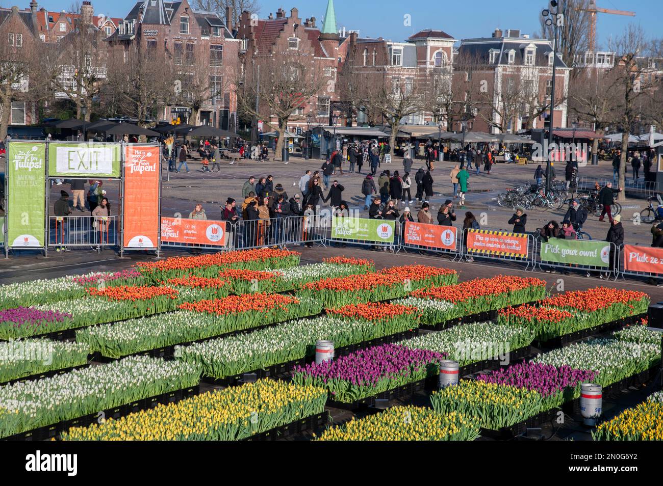 Tulip Fields At The National Tulip Day At Amsterdam The Netherlands 23 ...