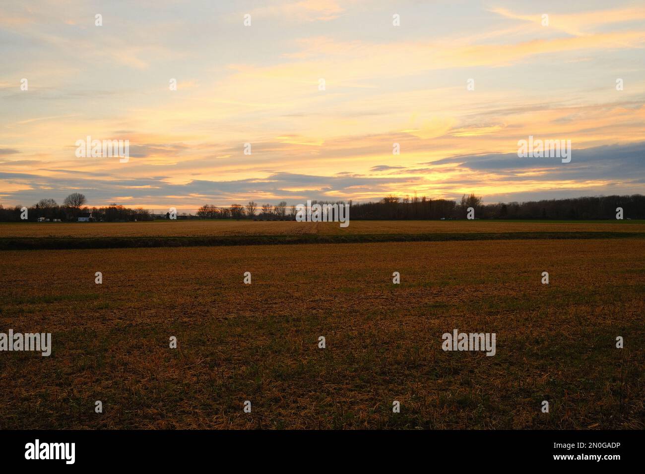 Nature in meerbusch hi-res stock photography and images - Alamy