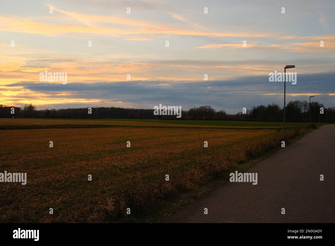 A field along a road against a scenic sunset sky in Meerbusch, Germany ...