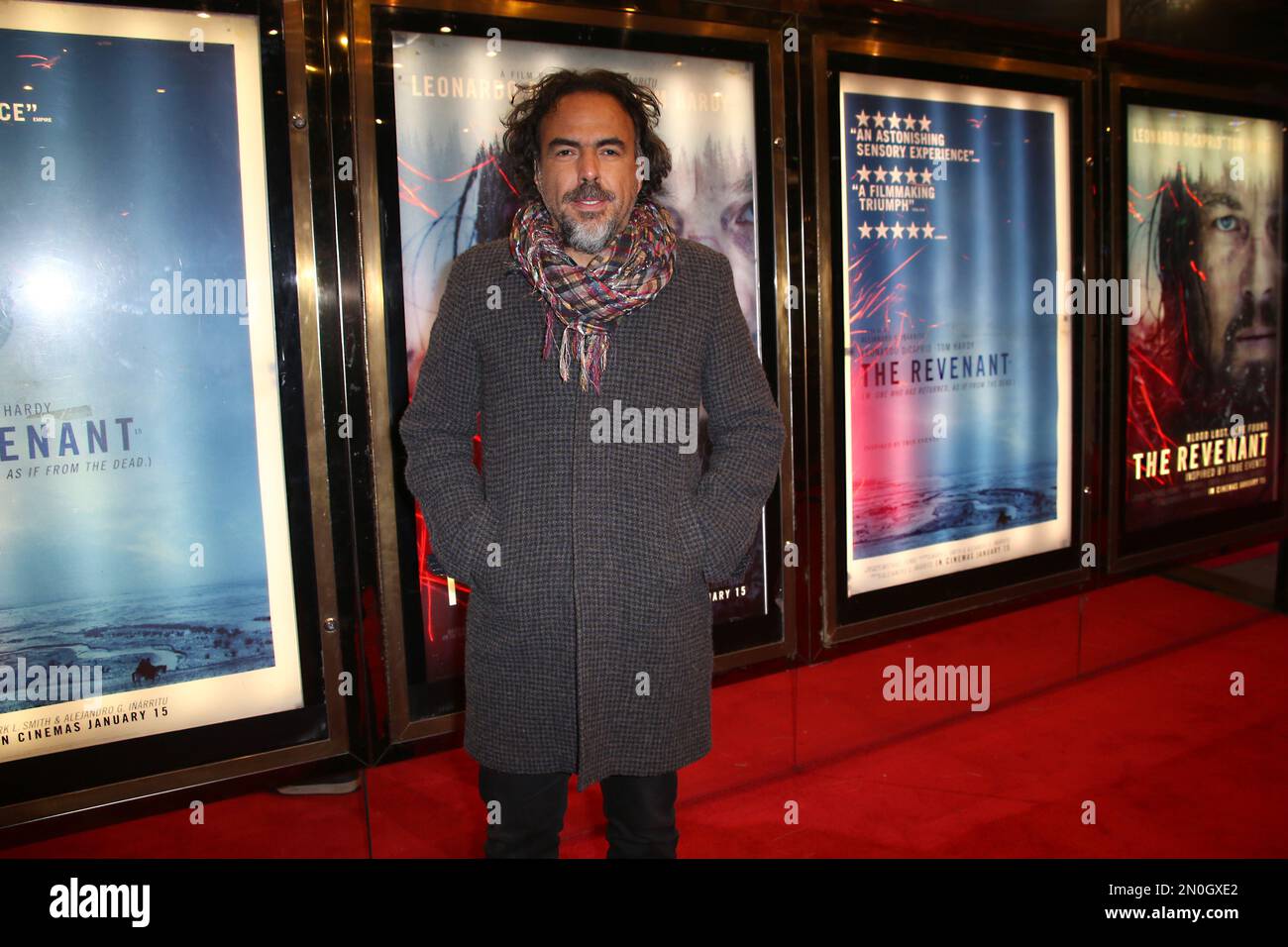 Director Alejandro Gonzalez Inarritu poses for photographers upon ...